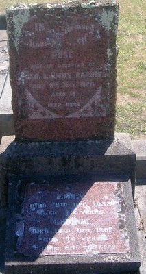 TARUHERU » SEC3 » 1315 - Cemetery Explorer | Gisborne District Council Cemetery Database